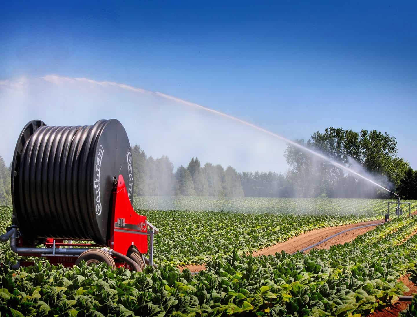 Water Cannon at the Yelm Farmers Market Sept 2nd! | Bounty For Families