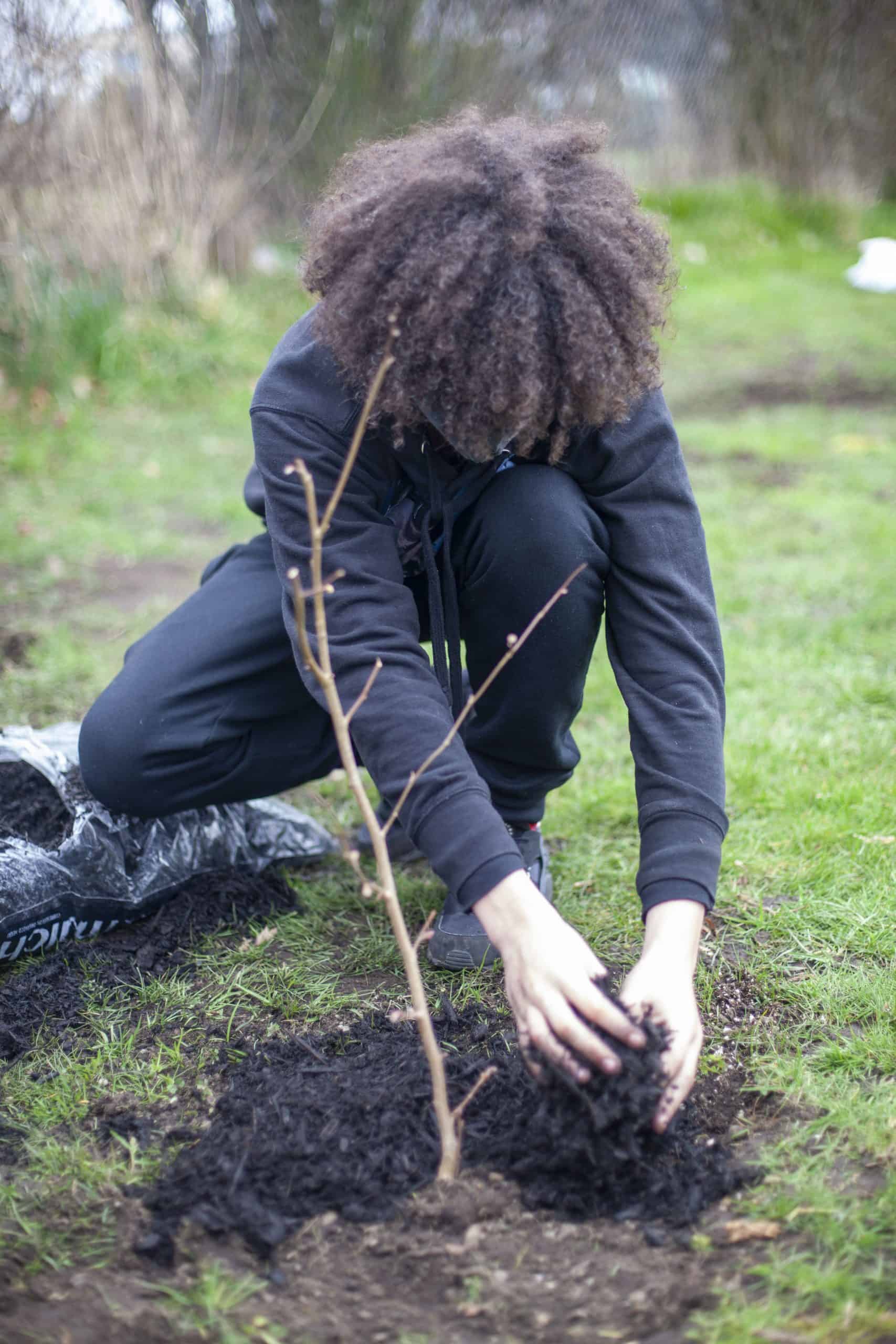 Yelm Community Garden Expands with Help from Yelm High School FFA Club ...
